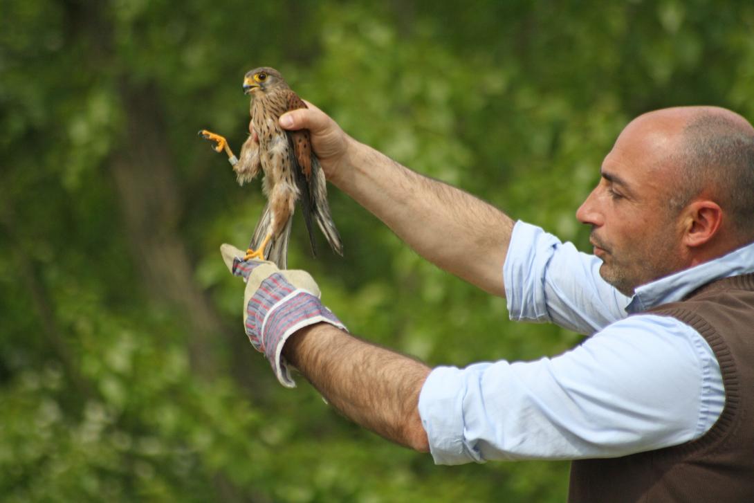 Massimo Soldarini, pilastro della Lipu | Lipu ODV